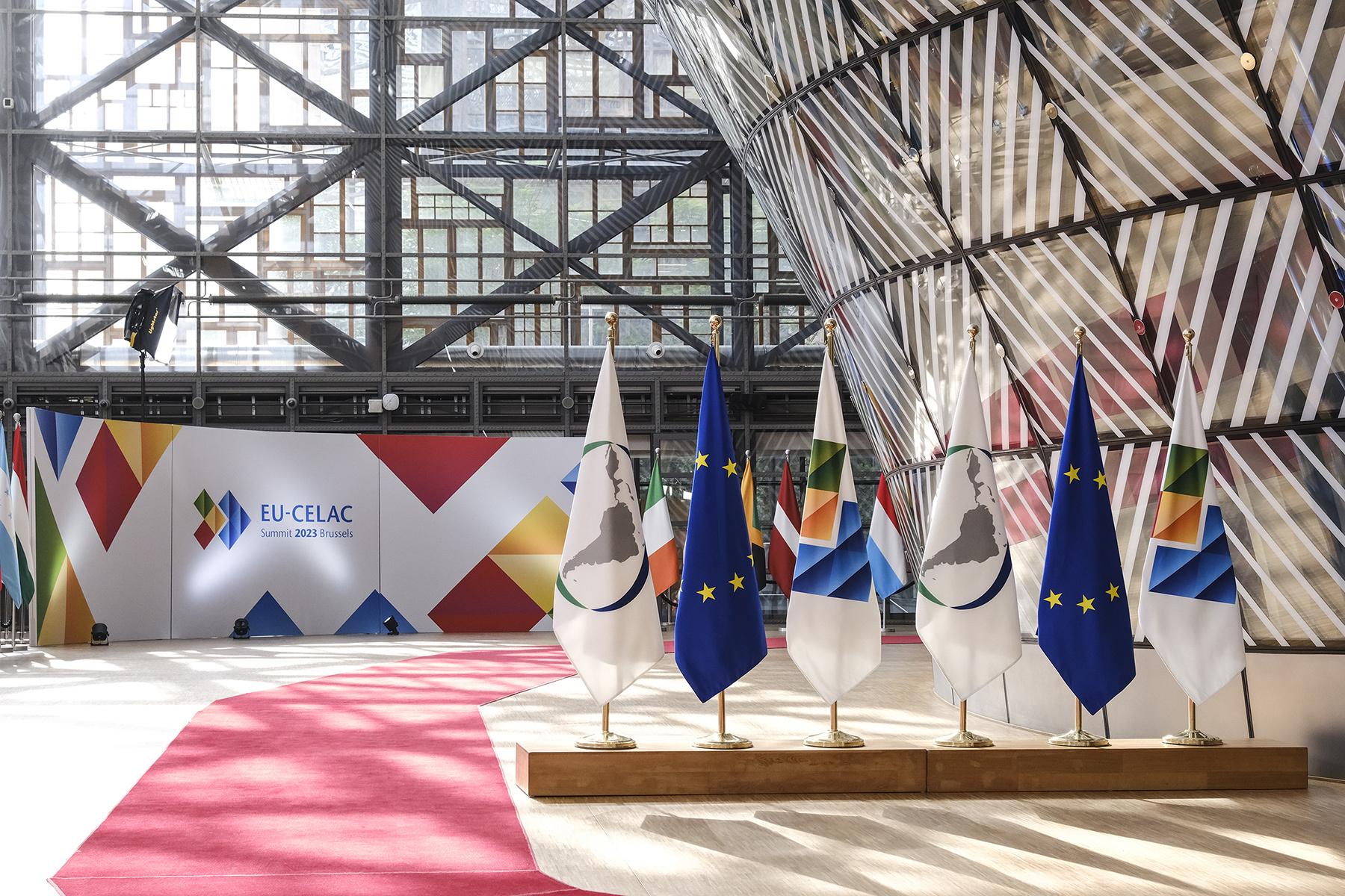 Discover the D4D Hub's regional activities